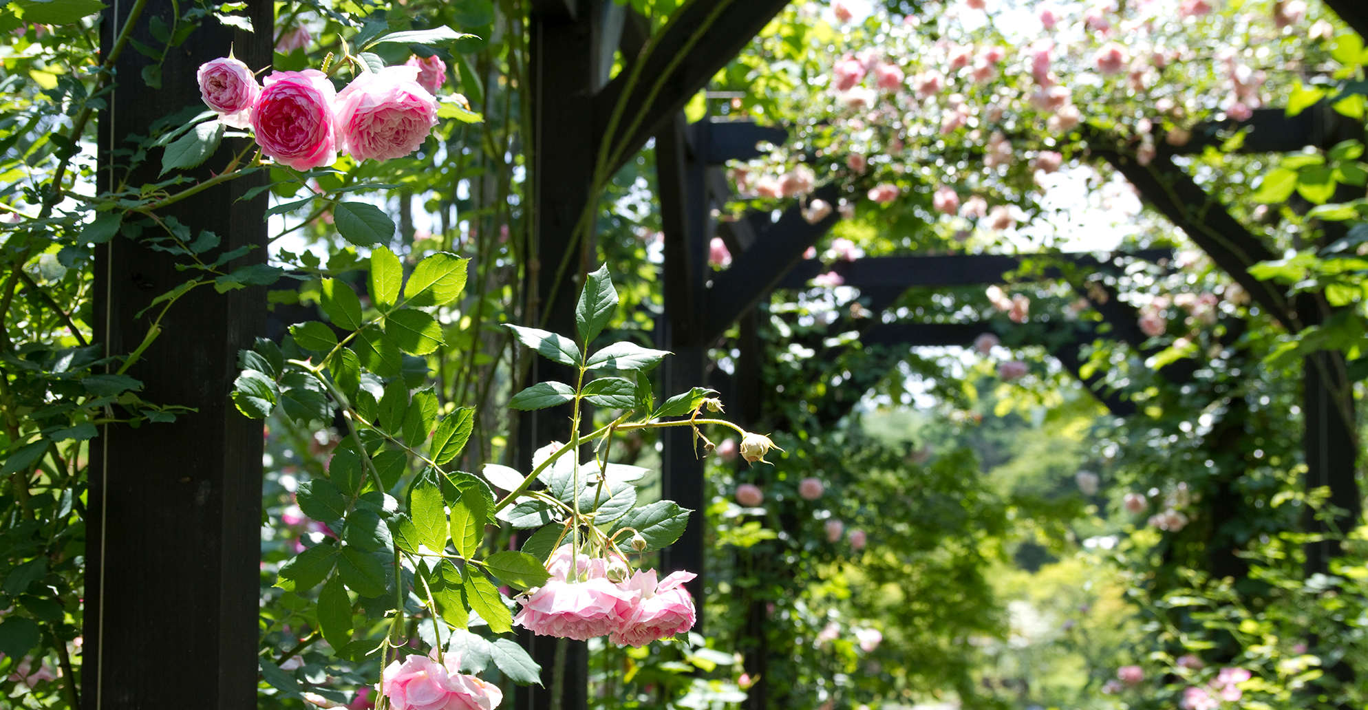 施設のご案内 │ ルゼ・ヴィラ -RUZE Villa-【公式サイト】